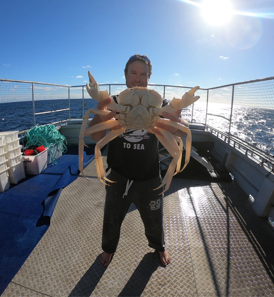 About Us - Open Seas